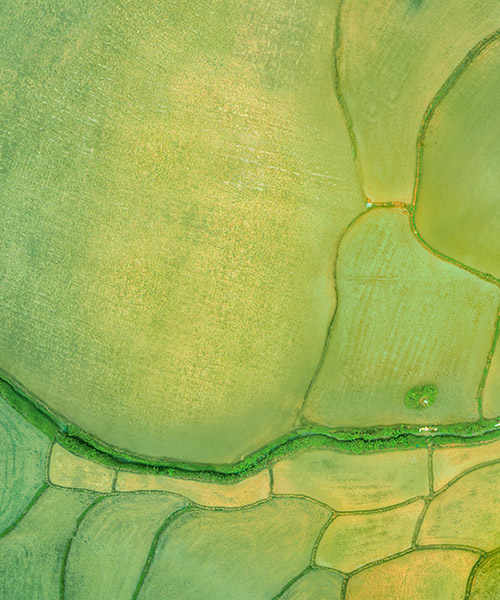 Worley in India - Where we operate - Worley